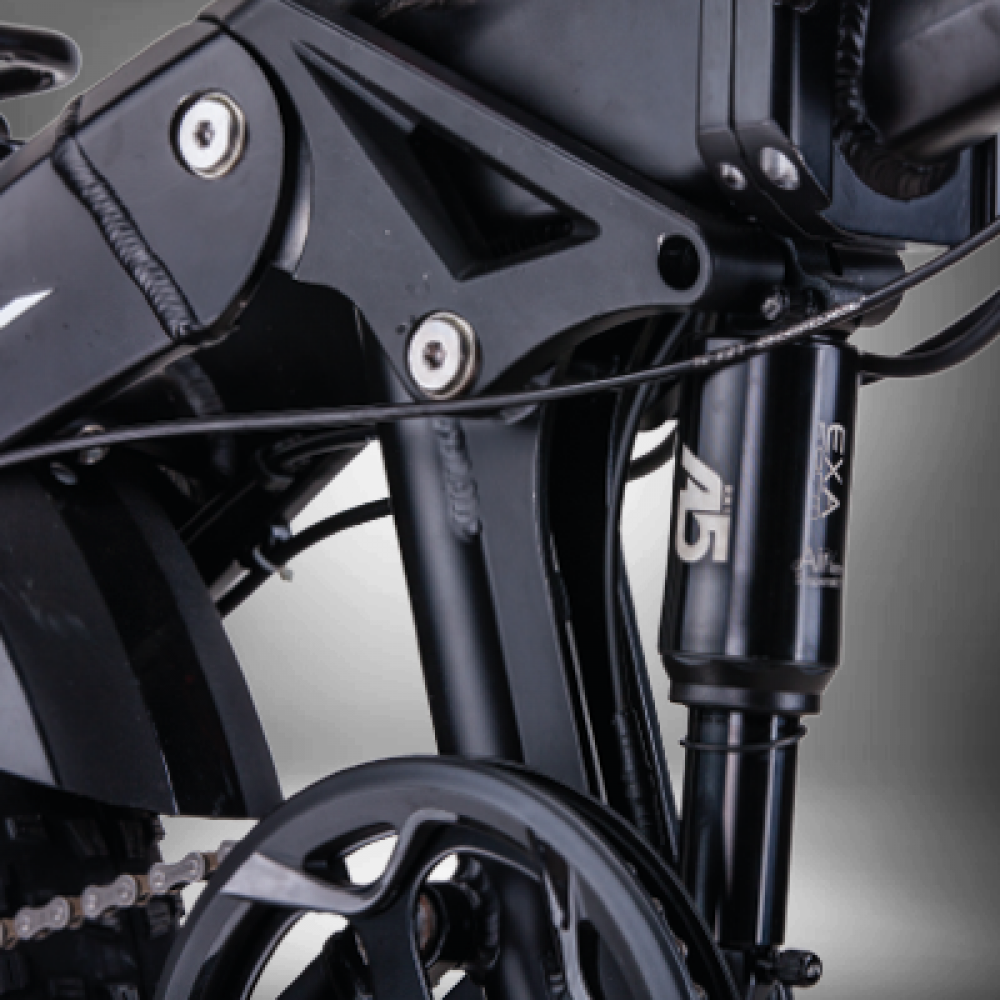 Maserati RD8 250W 48V10Ah 25km/s Yeşil